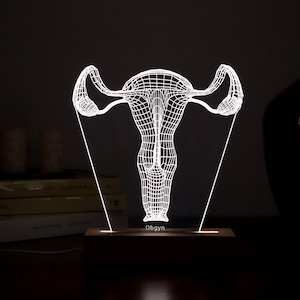 Custom Lamp for School Gynecologists. Perfect Present for Obgyns. LED ...