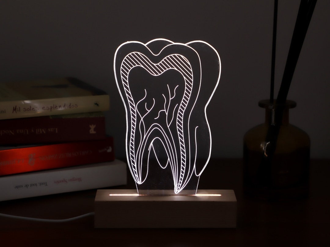 Personalized Dentist Gift, Dentist Lamp, Dental Gift, Dental Student ...