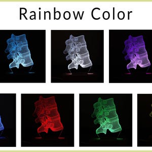 Vertebral LED Lamp: Personalized Spine Anatomy Desk Light, Graduation ...