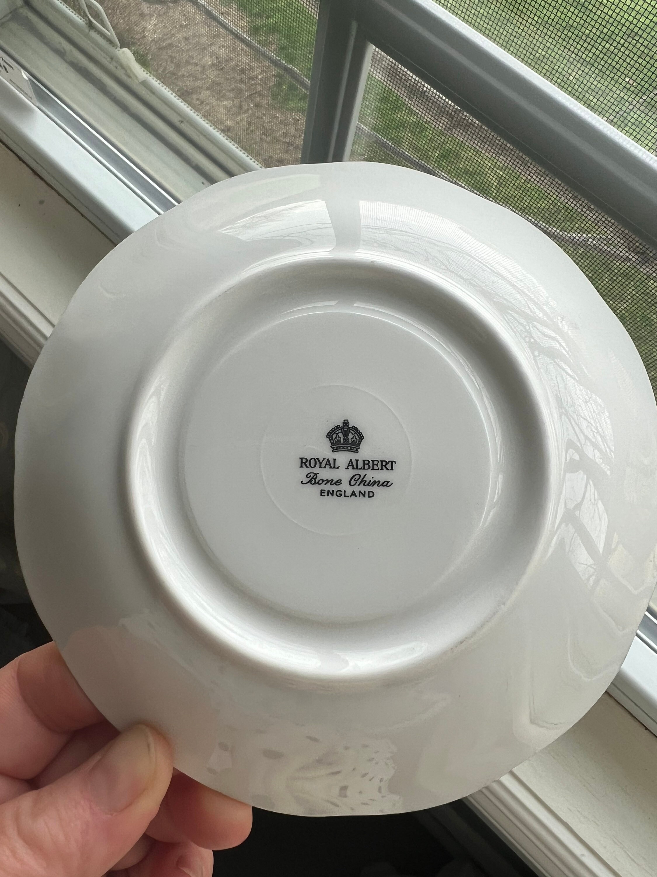 Royal Albert Pink and Red Roses treasure Chest Teacup and - Etsy