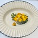 Garantito per Alimenti Ceramica Due Torri Italian Ceramic Dinnerware ...