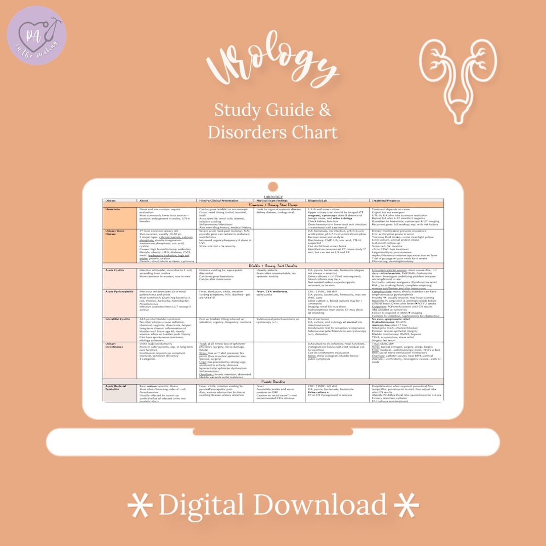 Urology Study Guide and Disorders Chart - Etsy