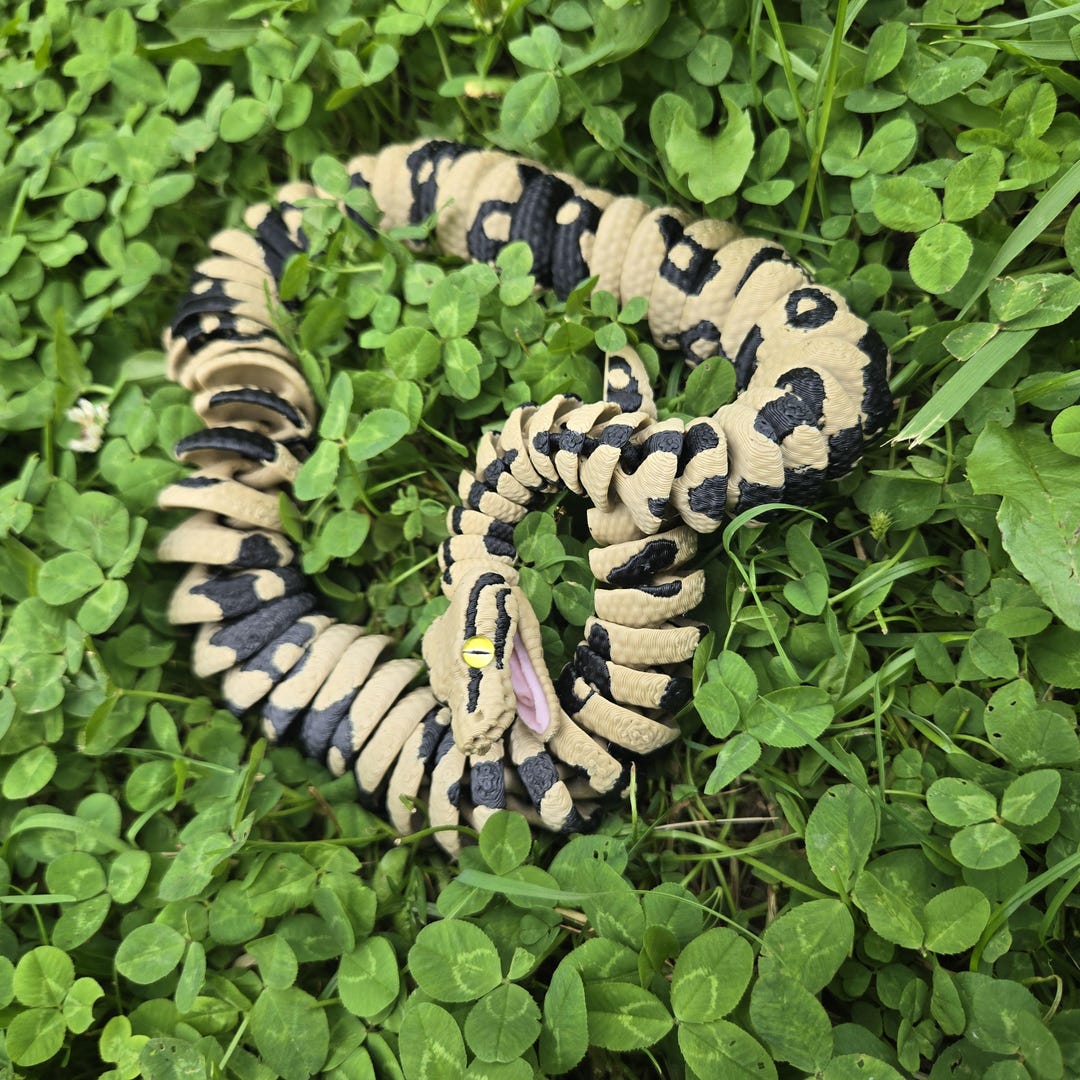 Ball Python - Etsy