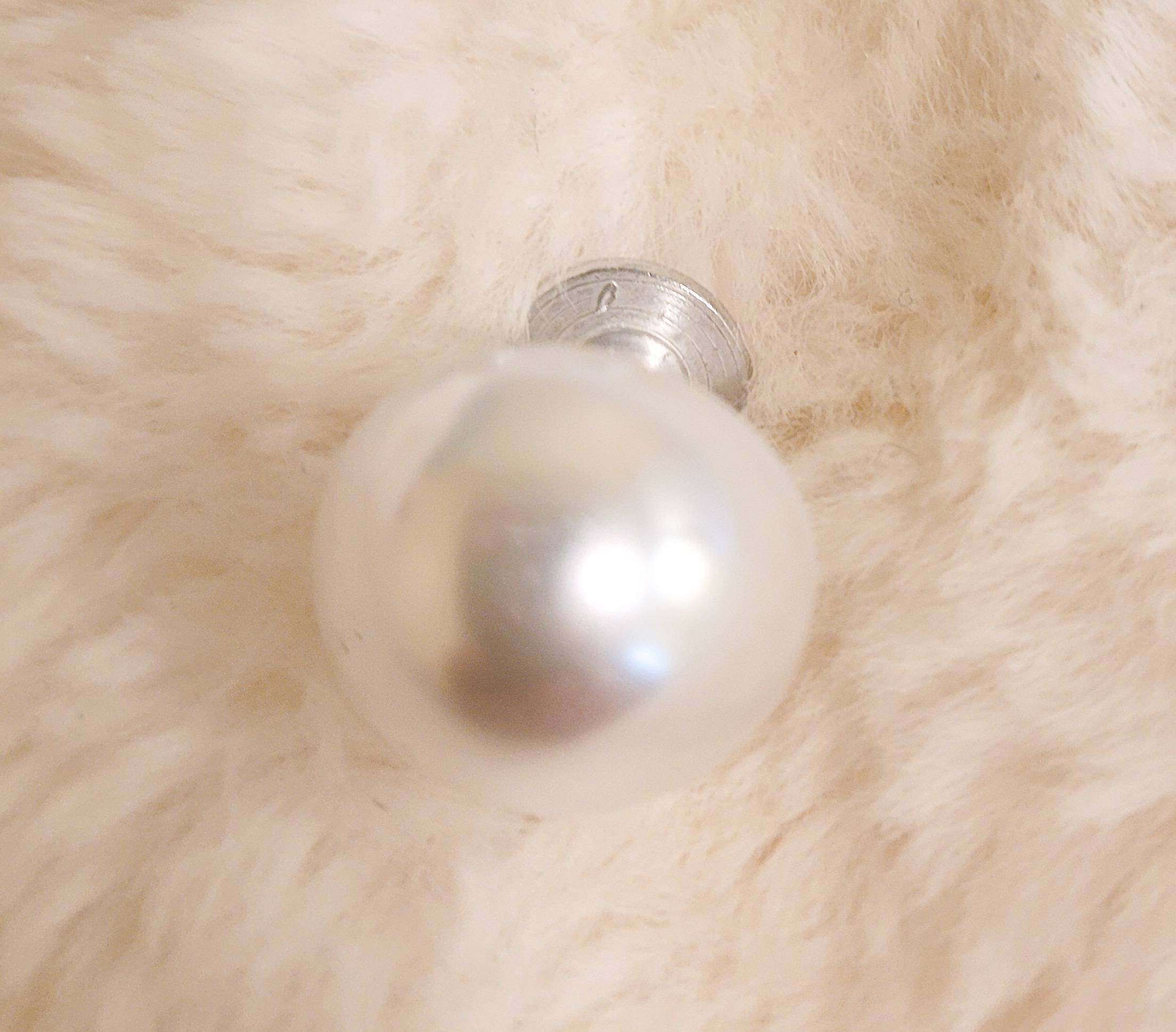 Woven Saddle Pad Number Screws, Pearl - Etsy