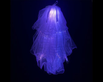 Led Veil - Etsy