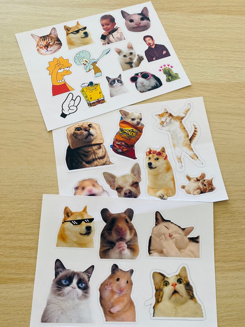 Meme Sticker Set Meme Stickers Vinyl Sticker Pack Funny - Etsy
