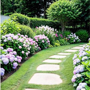 30 Mixed Blue Hydrangea Seeds Giant Snowball Fast Growing Flower - Etsy