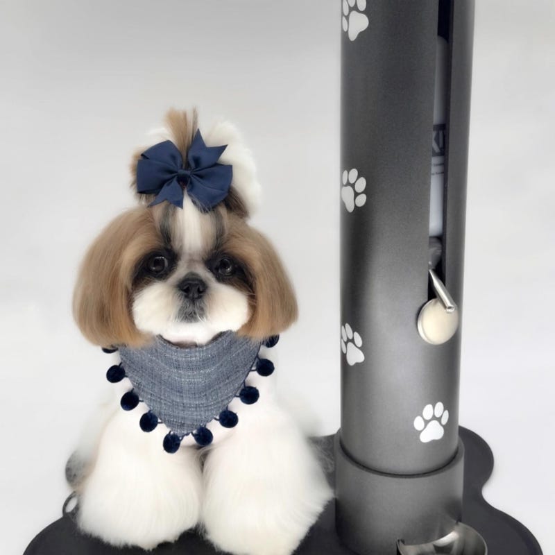 Dog Cups Food - Etsy