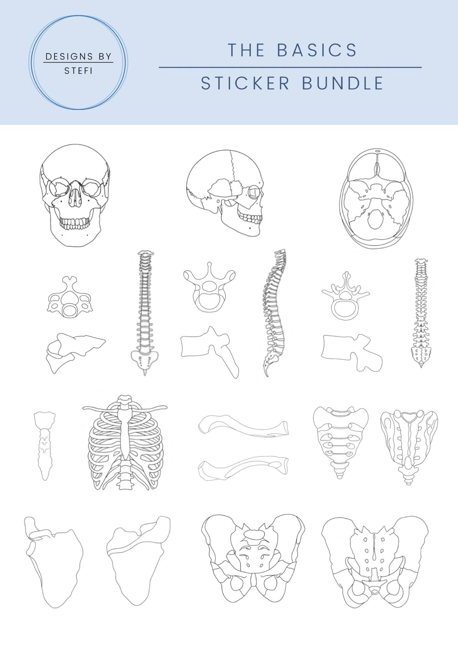 SKELETON Human Anatomy Digital Stickers Nursing Medicine - Etsy