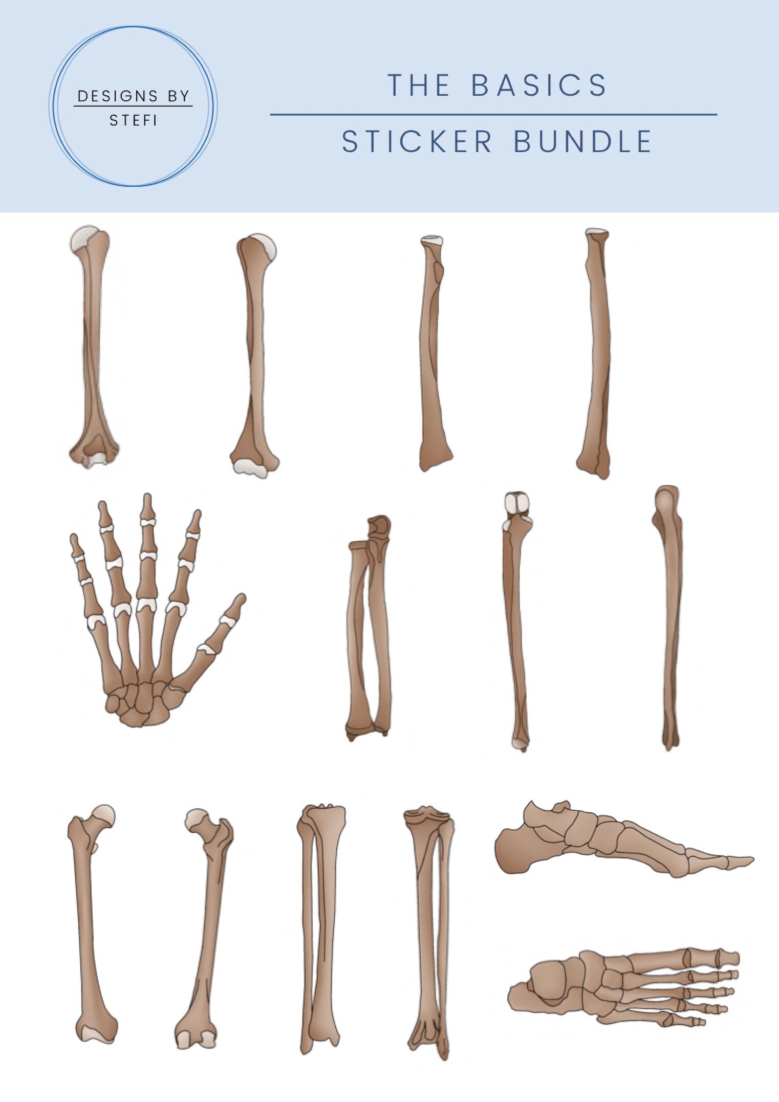 SKELETON Human Anatomy Digital Stickers Nursing Medicine - Etsy