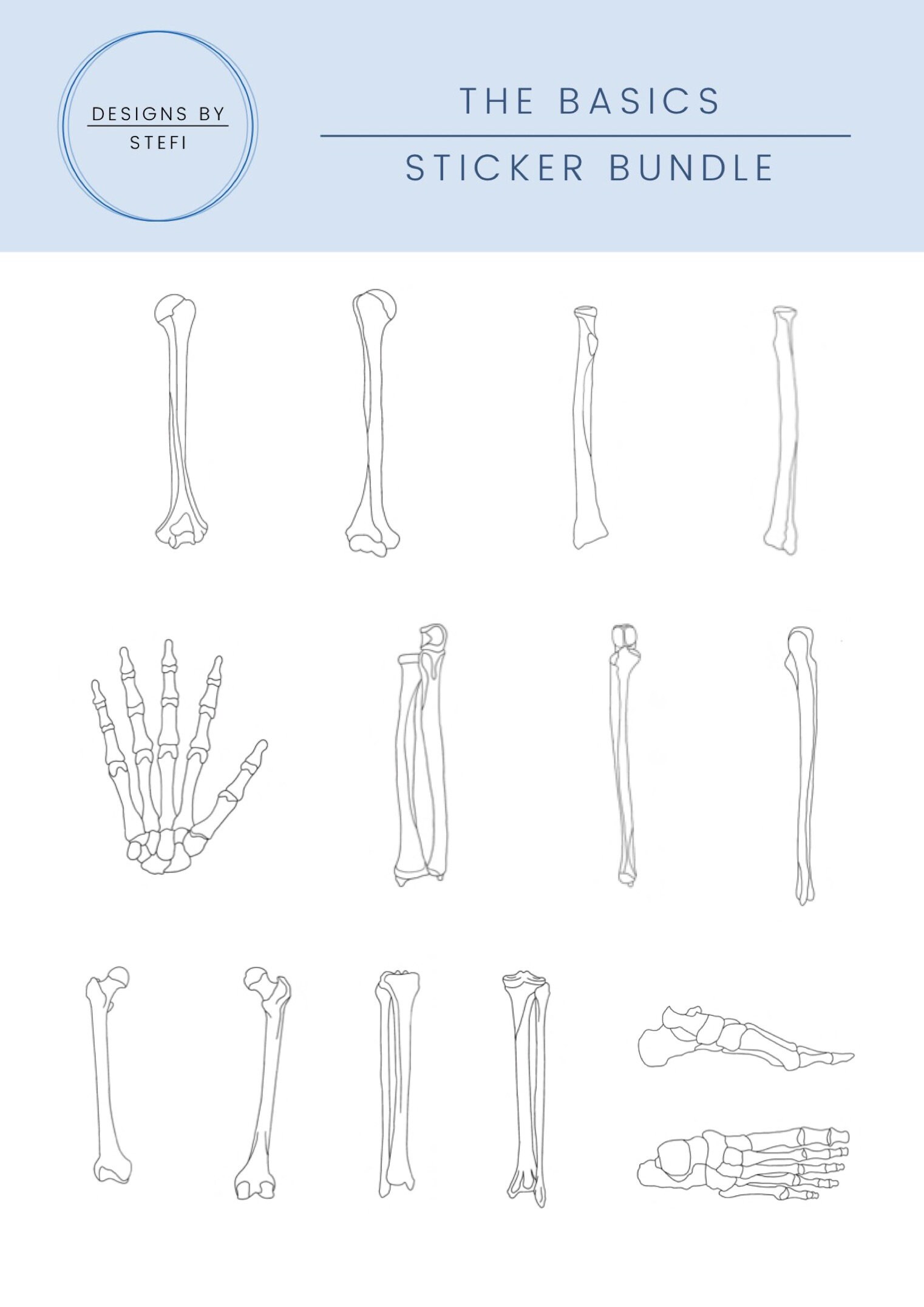 SKELETON Human Anatomy Digital Stickers Nursing Medicine - Etsy