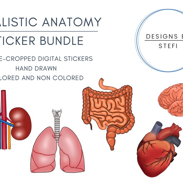 Human Anatomy and Physiology Stickers - Etsy