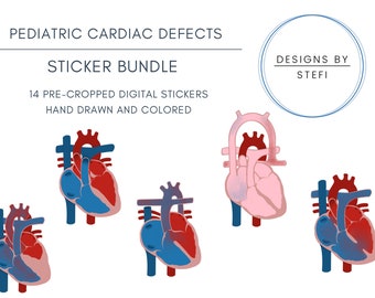 Hand Drawn Human Anatomy Digital Stickers Pack of 17. for - Etsy