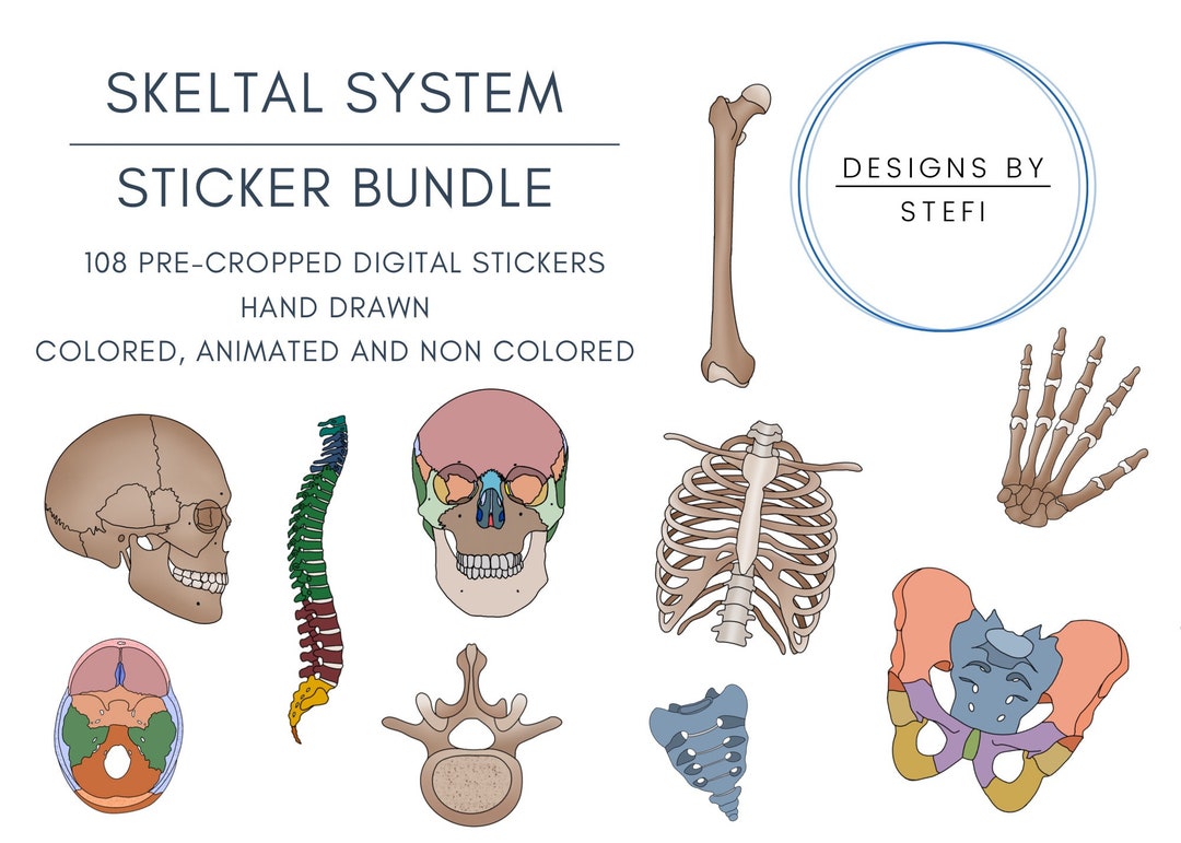 SKELETON | Human Anatomy Digital Stickers | Nursing, Medicine, Biology ...