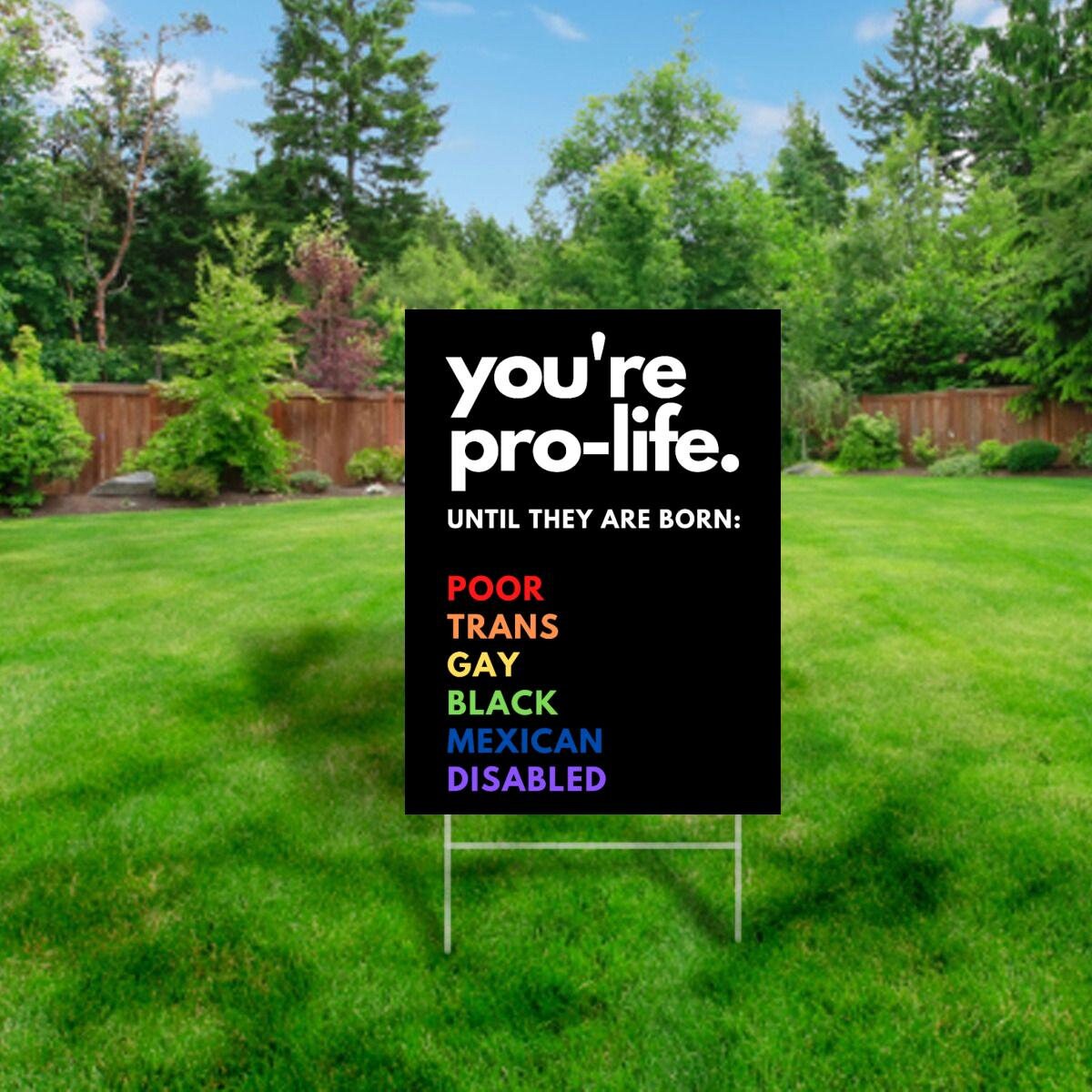 Pro Choice pro-life Hypocrisy 18 X 24 Inch Plastic Yard Sign - Etsy