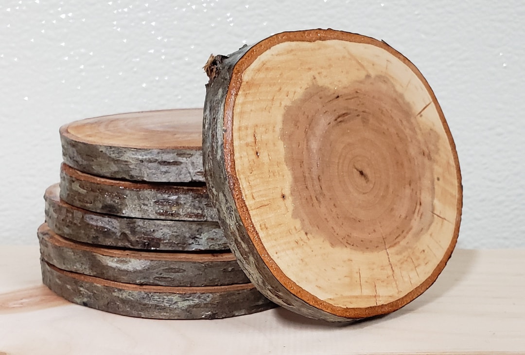 Natural Wooden Coasters - Etsy