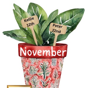 Boho Pot Plants Birthday Display for Classroom. Printable Classroom ...