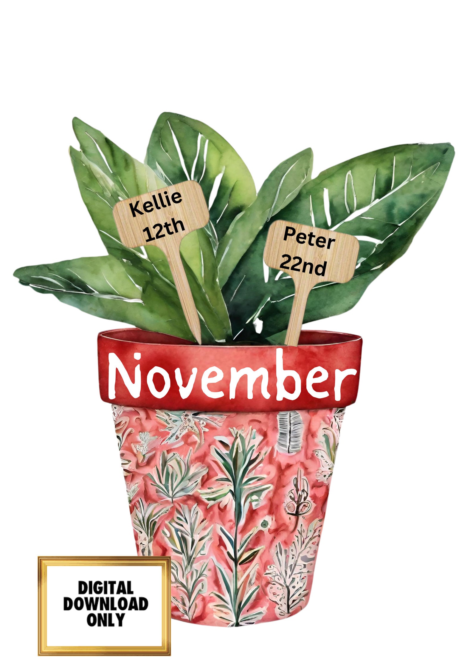Boho Pot Plants Birthday Display for Classroom. Printable Classroom ...