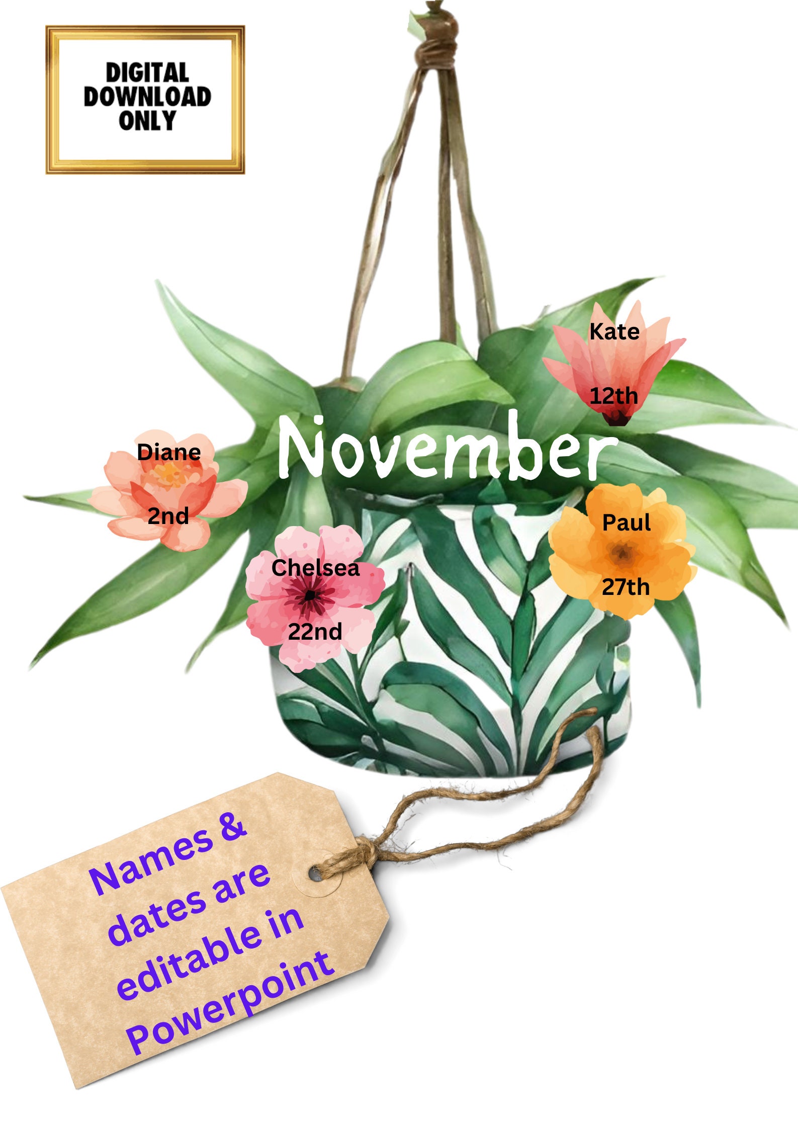 Boho Plants Birthday Display for Classroom, Birthdays in the Classroom ...