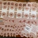 Indigenous Classroom Resources, First Nation Classroom Bundle, Boho ...