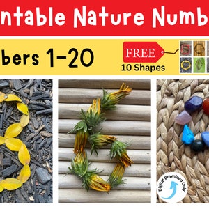 Classroom Decor, Classroom Signs, Calm Classroom, Natures, Natural ...