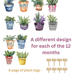 Boho Pot Plants Birthday Display for Classroom. Printable Classroom ...