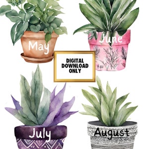 Boho Pot Plants Birthday Display for Classroom. Printable Classroom ...