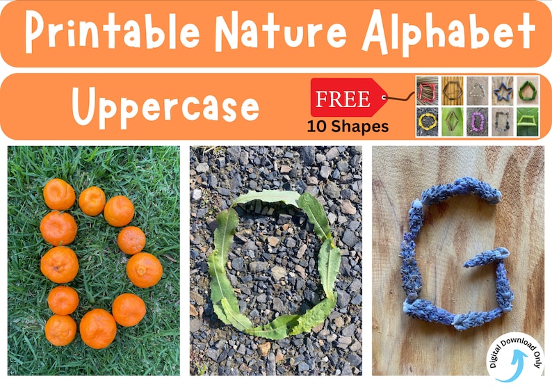 Alphabet Letters, Alphabet Posters, Natures, Alphabet, Natural, Nature ...