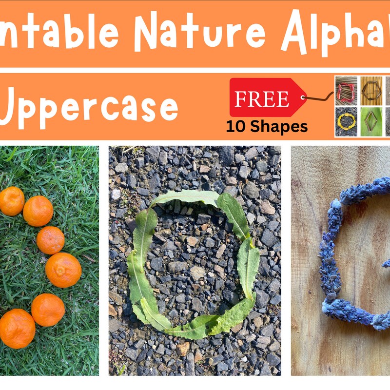 Nature Letters - Etsy