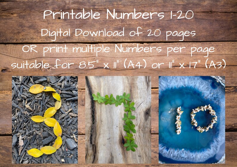 Classroom Decor, Classroom Signs, Calm Classroom, Natures, Natural ...