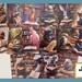 Australian Animal Library Posters, 16 X Reading Quotes, Library ...