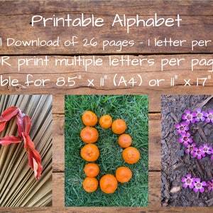 Alphabet Letters, Alphabet Posters, Natures, Alphabet, Natural, Nature ...