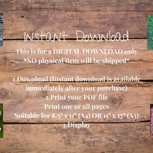 Nature Shapes Printable Posters, Nature Shapes Digital Download, Nature ...