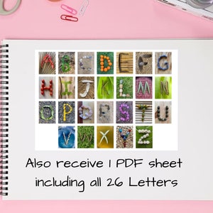 Alphabet Letters, Alphabet Posters, Natures, Alphabet, Natural, Nature ...