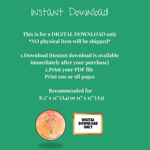 Aboriginal & Torres Strait Islander Cootie Catchers, Aboriginal Flag ...