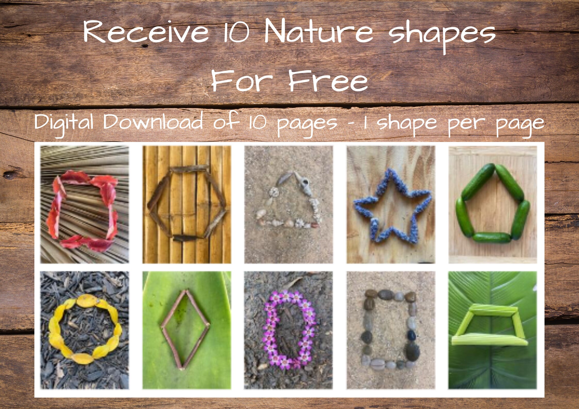 Alphabet Letters, Alphabet Posters, Natures, Alphabet, Natural, Nature ...