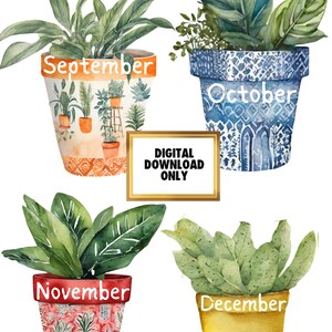 Boho Pot Plants Birthday Display for Classroom. Printable Classroom ...