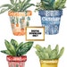 Boho Pot Plants Birthday Display for Classroom. Printable Classroom ...