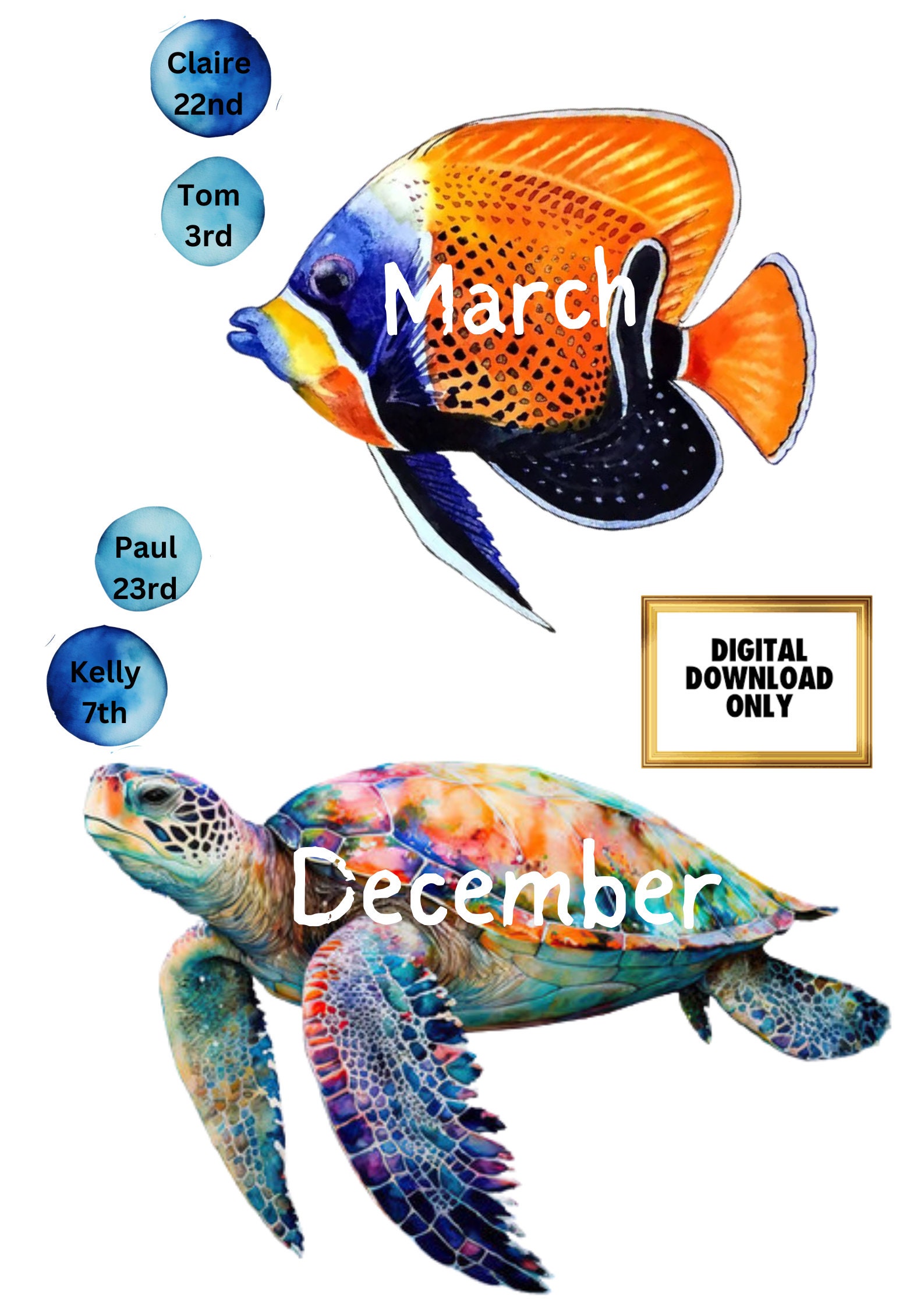 Sea Animals Birthday Display for Classroom, Sealife Student Birthday ...