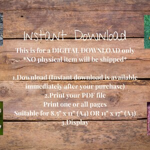 Classroom Numbers, Printables Printable, Natural, Numbers, Objectives ...