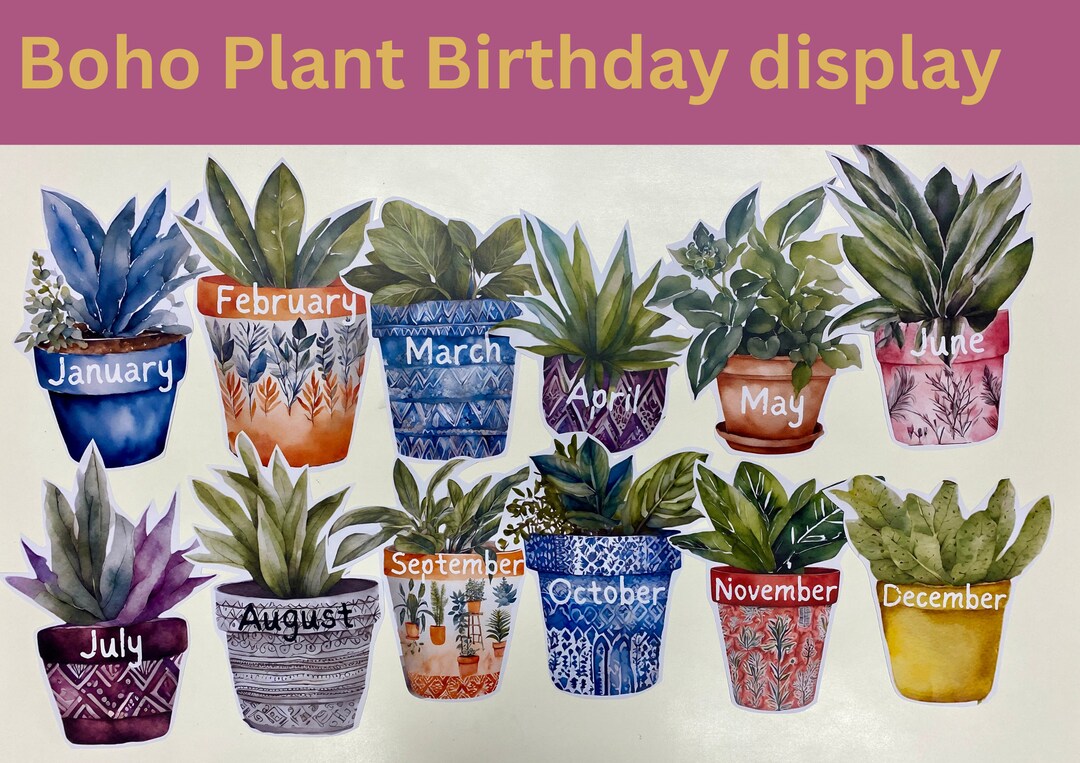 Boho Pot Plants Birthday Display for Classroom. Printable Classroom ...