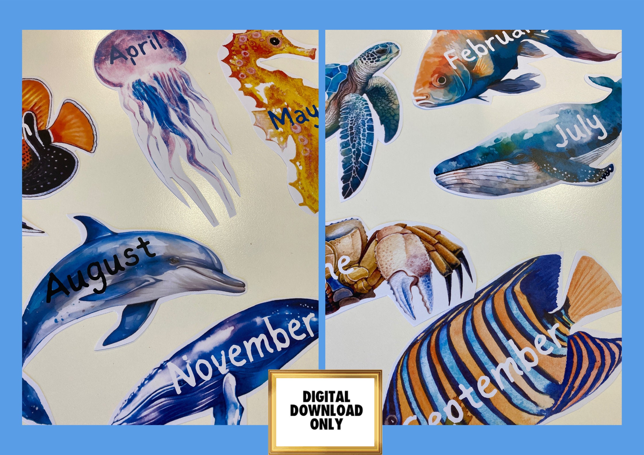 Sea Animals Birthday Display for Classroom, Sealife Student Birthday ...