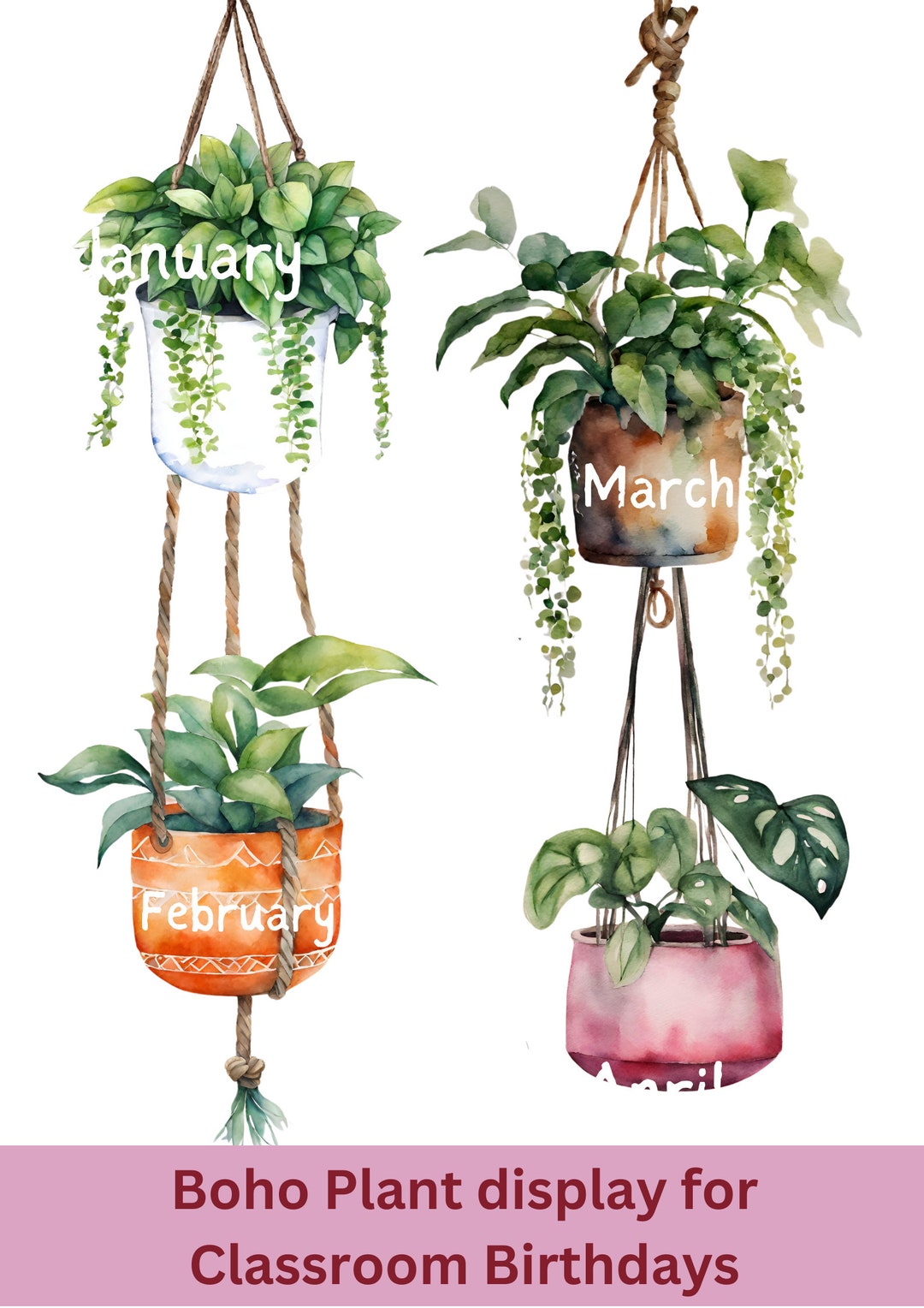 Boho Plants Birthday Display for Classroom, Birthdays in the Classroom ...