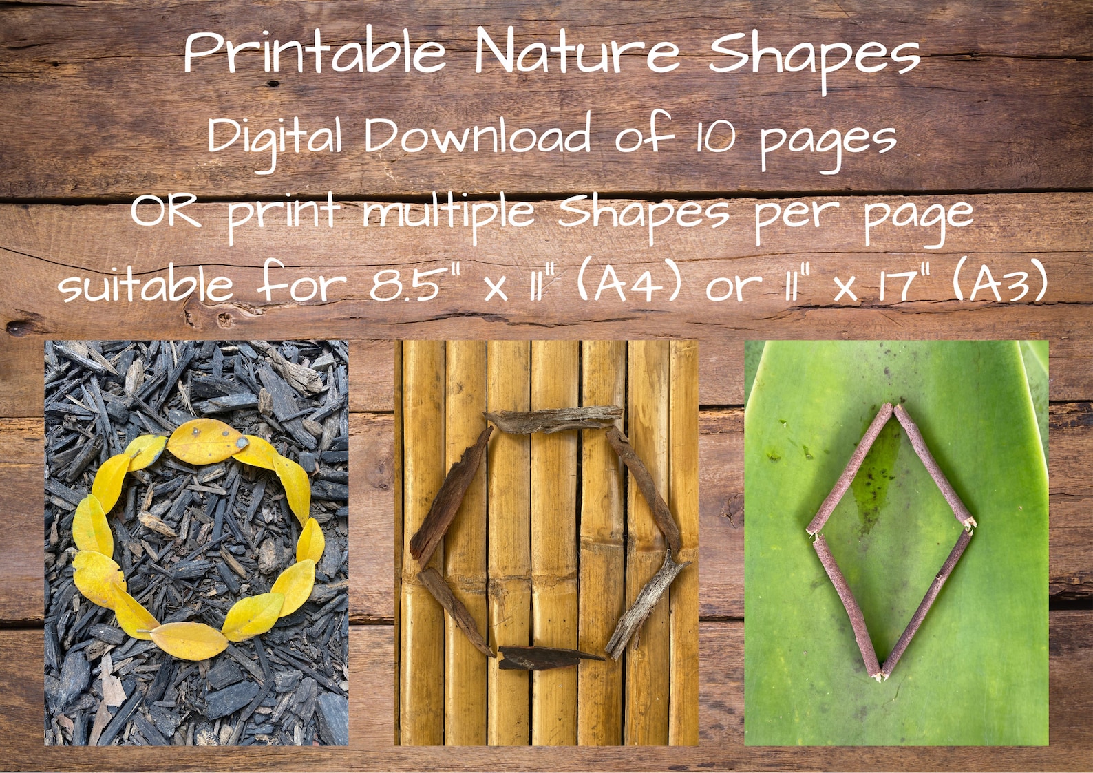 Nature Shapes Printable Posters, Nature Shapes Digital Download, Nature ...
