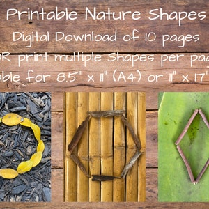 Nature Shapes Printable Posters, Nature Shapes Digital Download, Nature ...