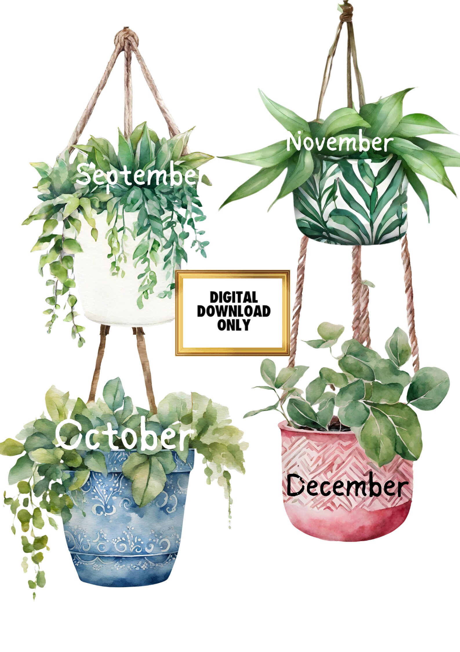 Boho Plants Birthday Display for Classroom, Birthdays in the Classroom ...