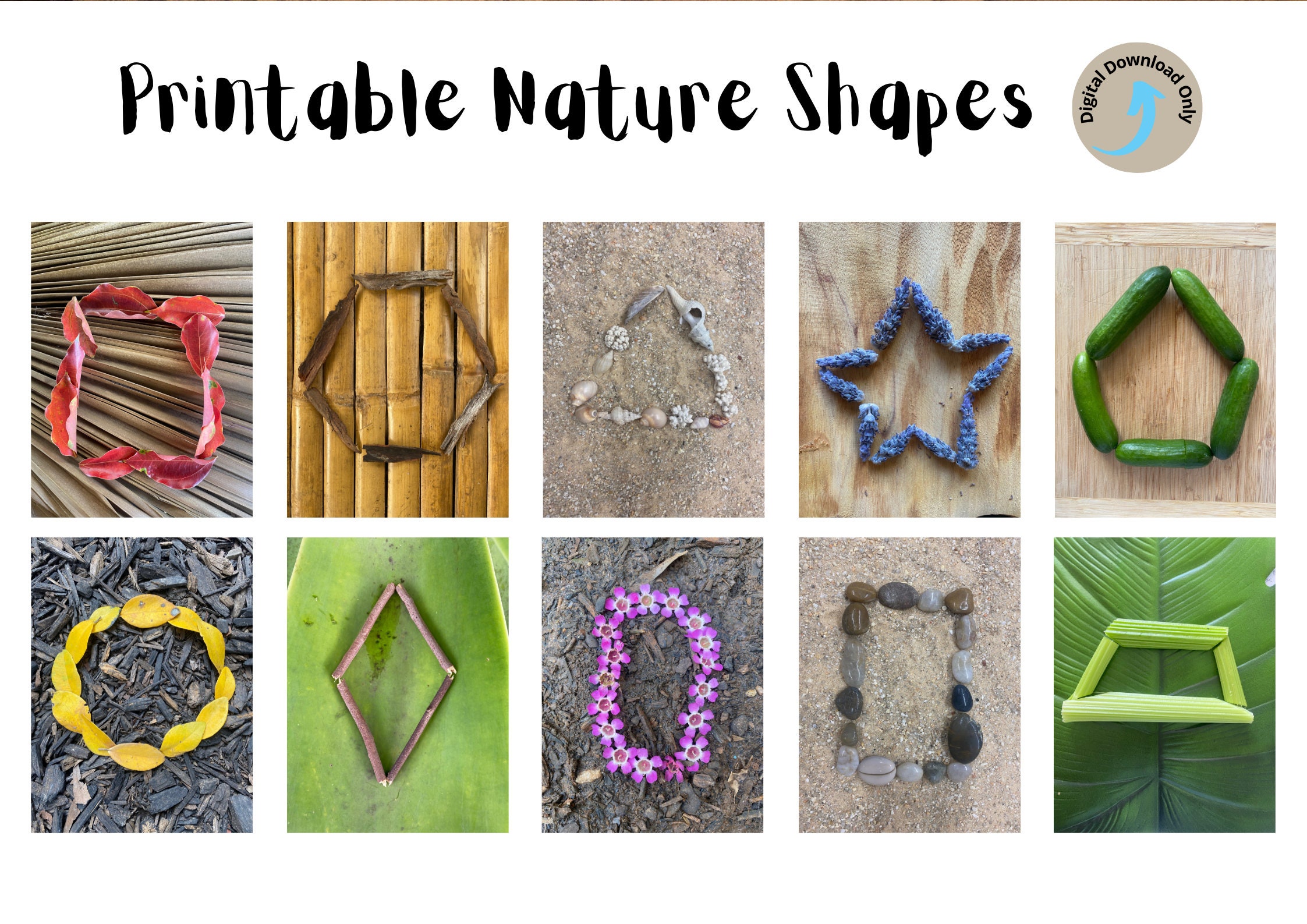 Nature Shapes Printable Posters, Nature Shapes Digital Download, Nature ...