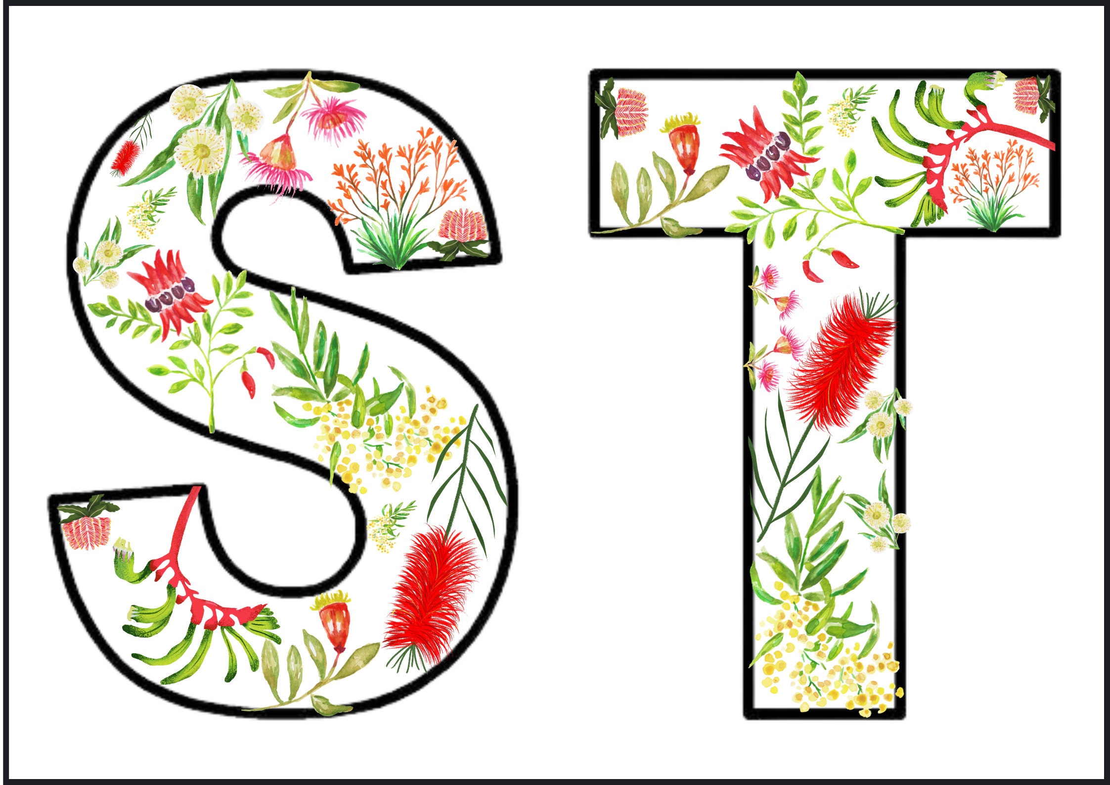 Australian Flora Printable Alphabet, Floral ABC, Printable Alphabet for ...