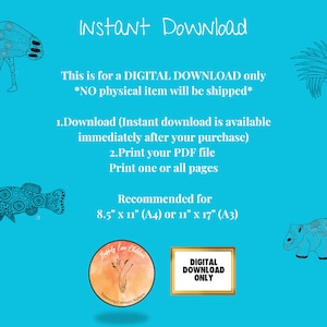 Indigenous I Spy Printable Activity Sheet, Aboriginal Classroom ...