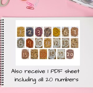 Classroom Numbers, Printables Printable, Natural, Numbers, Objectives ...